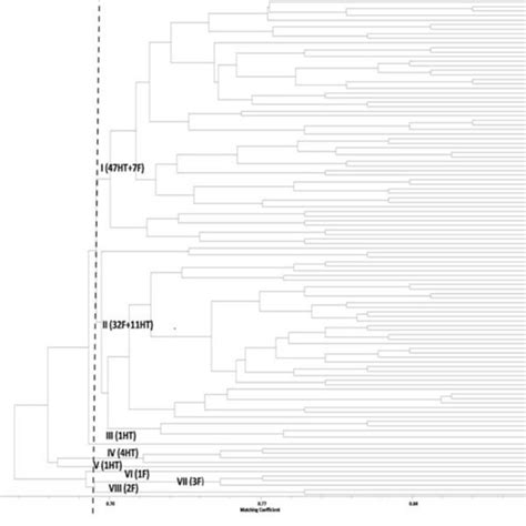 Upgma Dendrogram Depicting Genetic Relationships Among The 109 Selected