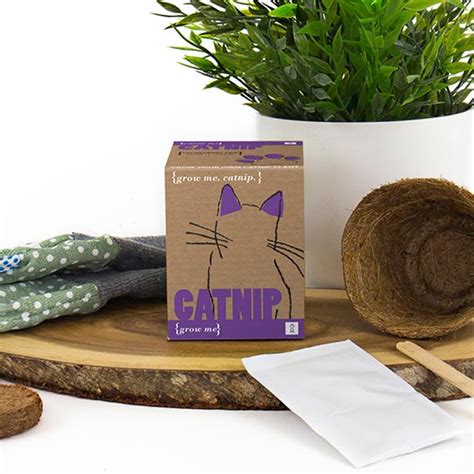 Grow Me Catnip Toy For Cats Premium Catnip Fun
