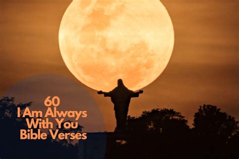 Wolf In Sheeps Clothing Story Meaning And Popularity Explained Bible