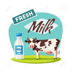 Dairy Fresh Milk Age Group Old Aged At Best Price In Hosur Kisan
