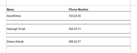 draw borders lines for report controls reporting tools