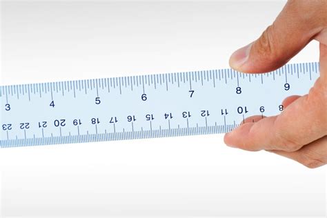 Junk Debunk Average Length Of Manhood Revealed