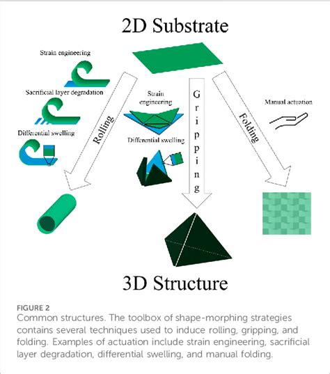 Figure 2 From 3d And 4d Assembly Of Functional Structures Using Shape