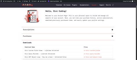 Plugin Activation Divi Coding Store