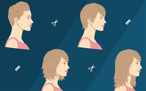 Head Hair Growth Rate At Lester Watkins Blog