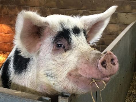 Удивительные научные открытия 2022 года о которых вы не знали Zefirka