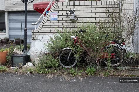 La Ville Abandonnée De Fukushima En 2015 Dévorée Par La Végétation