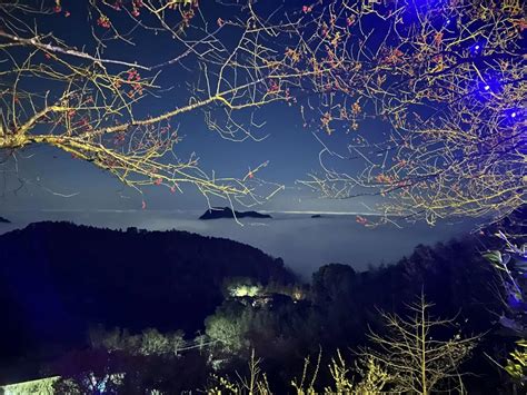 活動資訊 雲境松林露營區 露營區 苗栗露營區 南庄露營區