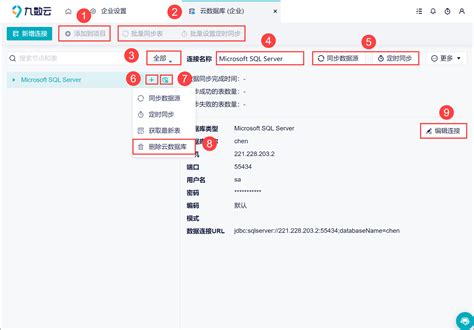 microsoft sql server 数据连接 九数云帮助文档
