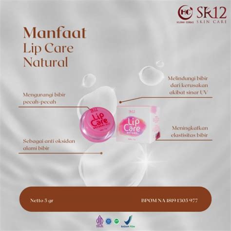 Jual Bpom Lip Care Sr12 Lip Balm Pelembab Bibirpencerah Bibir