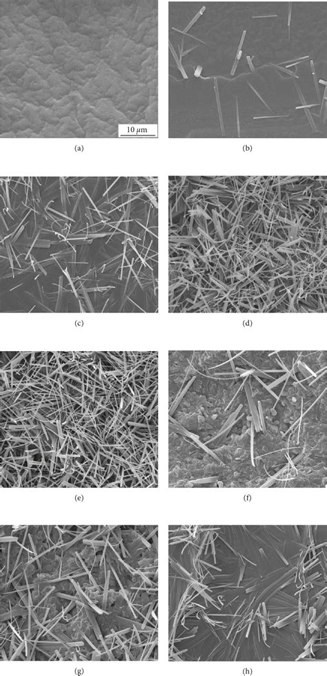 Figure 1 From Microstructure And Damping Property Of Polyurethane