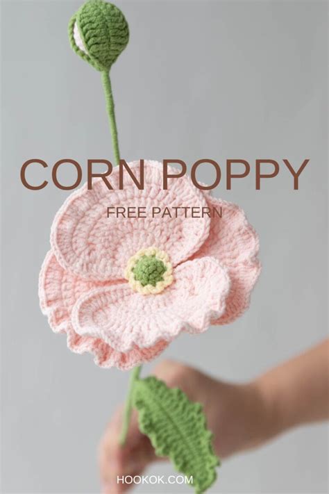 Crochet Strawberry Hookok