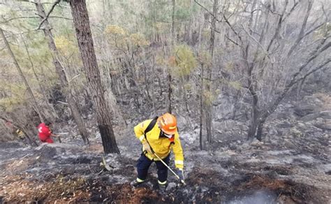 Reporta Conafor Complejo De Incendios Forestales Nuevo León Coahuila