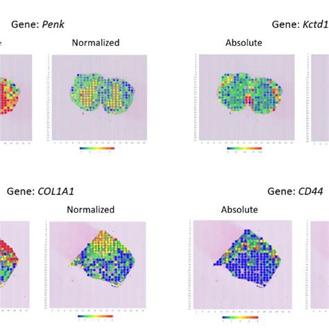 Examples Of Visual Examination Of Gene Expressions On Star Spatial