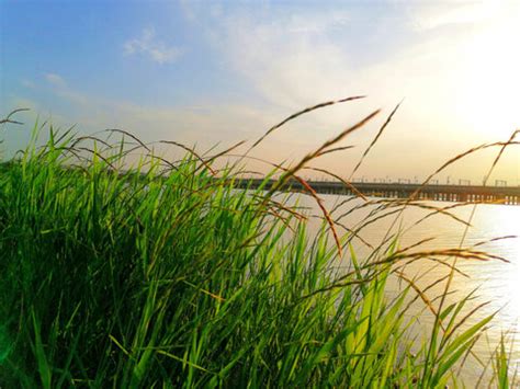 石家庄滹沱河风光 水景区 旅游景点 摄影 汇图网www huitu