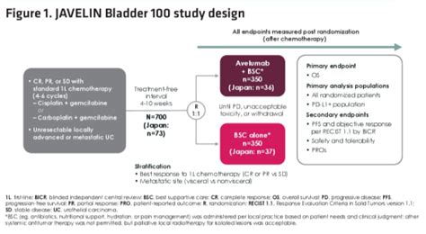 ASCO GU Avelumab First Line Maintenance Plus Best Supportive Care BSC Versus BSC Alone