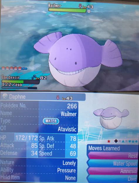 Shiny Wailmer Appeared By How To Find Wailmer And Wailord In Pokémon