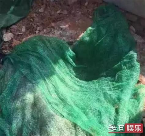 男童掉进井坑死亡是怎么回事 事故发生的原因是什么每日娱乐