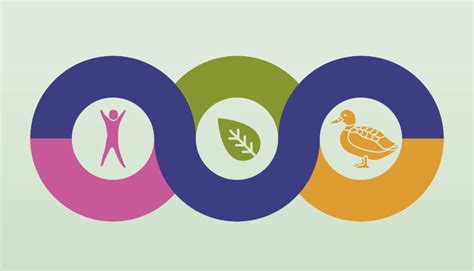 Must Where Excellence Reigns Msc In One Health