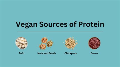 18 Best Protein Sources For Vegans Livofy