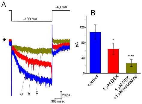 Effectiveness In Block By Dexmedetomidine Of Hyperpolarization Activated Cation Current
