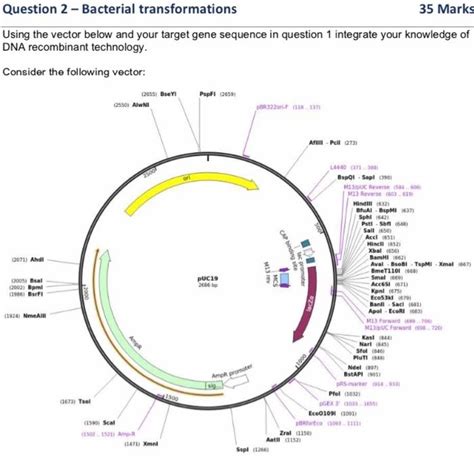 Solved Using The Vector In Questions And Your Chegg Com