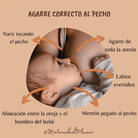 Claves De Un Buen Agarre Del Beb Al Pecho En La Lactancia Materna The
