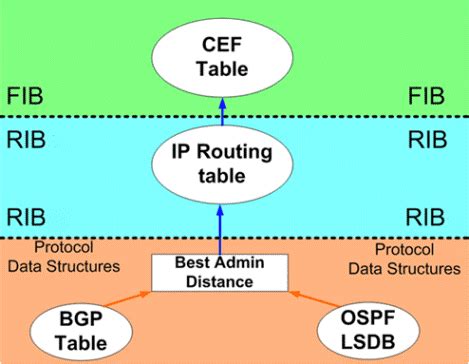 Networking And Scripting RIB Vs FIB