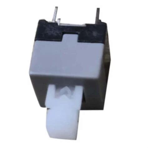 Plunger Micro Electronic Switches 250 Volt At ₹ 20 Piece In Faridabad
