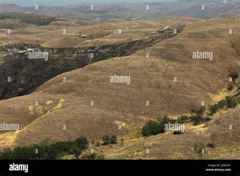 A View Of Dry Grassland On Hilly Landscape During Dry Season On
