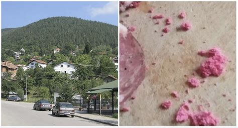РОЗОВА ОТРОВА мори животни в Рударци 5 кучета и няколко котета са убити съседи обикалят за