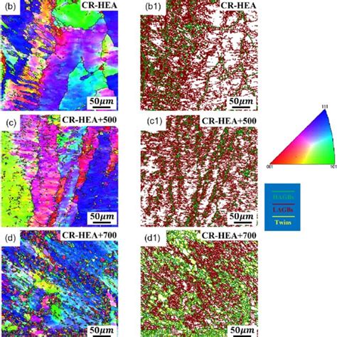 Ebsd Inverse Pole Figure Ipf A F And Grain Boundary Phase Maps