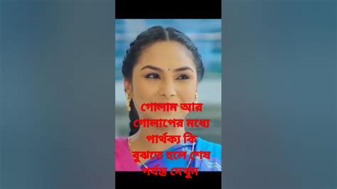 সেরা গান না দেখলে মিস Youtube