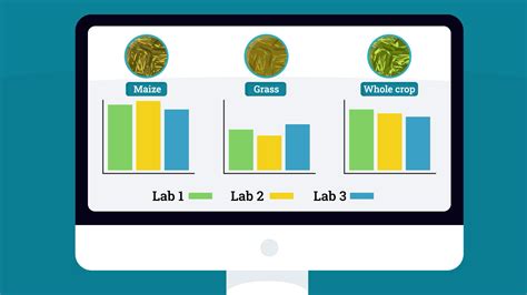 Forage Analysis Assurance Group Agriculture Animated Explainer