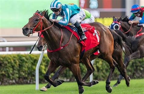 ジョッキークラブカップ（g2） 20221120日 日程・結果 Jra Van World 海外競馬情報サイト