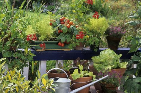 Planting Flowers And Vegetables Together In Des Moines Capital Landscaping