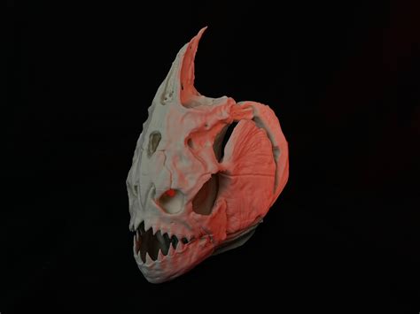 Piranha Skull Pygocentrus Nattereri 3demon