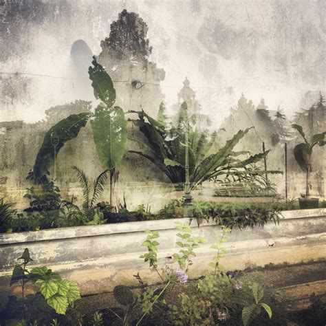 Un Théâtre De Plantes Et De Lumières Le Parc Du Thabor De Rennes Par Jacques Beun Photographe