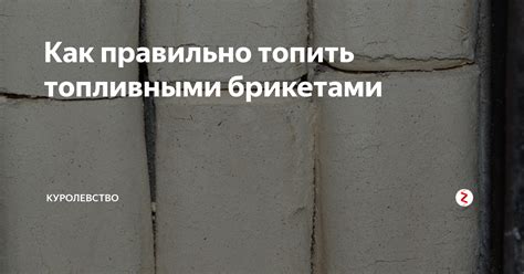 Как правильно топить топливными брикетами | Куролевство | Дзен