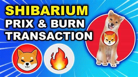 🚨 Shiba Inu Shibarium Test Cout Dune Transaction Et Burn 🔥 Shib Top