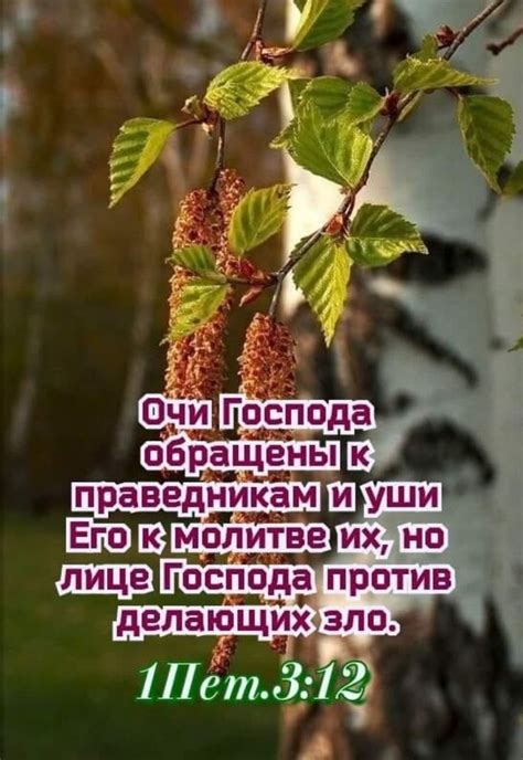 Библия Христианские картинки Библейские цитаты