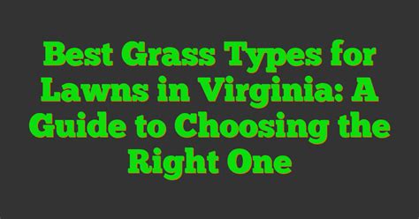Best Grass Types For Lawns In Virginia A Guide To Choosing The Right One