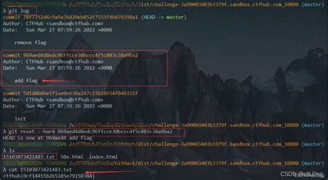 ctf之git源码泄露 ctf git csdn博客