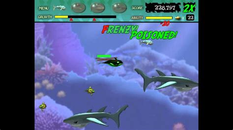 Feeding Frenzy 1 Gameplay Level 31 To 40 Youtube