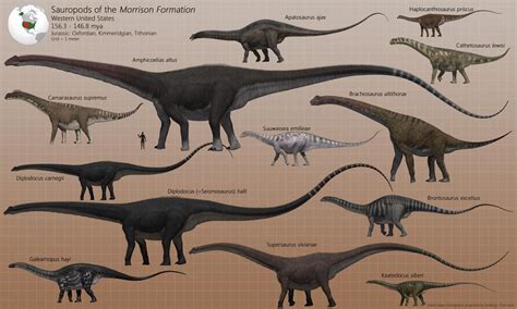 Sauropods Of The Morrison Formation By Paleoguy On Deviantart Dinosaur Pictures Prehistoric