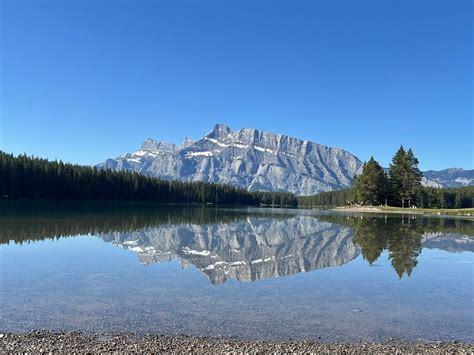 Visit Boo Grizzly Bear And Trace Of Grizzly Bear In Banff Klook
