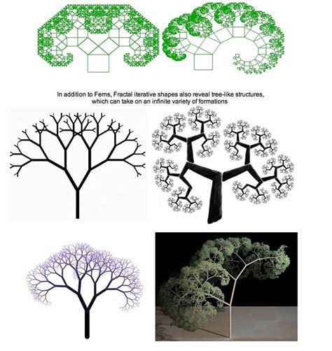 15 Best Pythagorean Trees Images On Pinterest Fractals Maths And