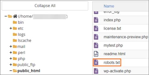 Does My Site Include A Robotstxt File