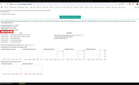 Isaac Sim Webrtc Streaming Client Shows Blank Screen When Accessing