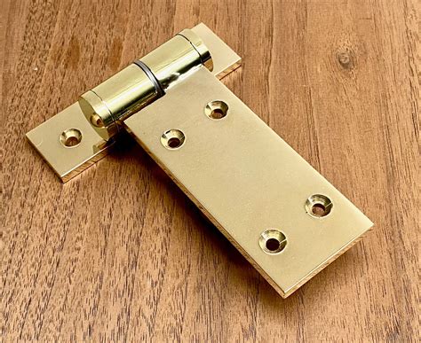Custom Designed Hinges Theiss Plating